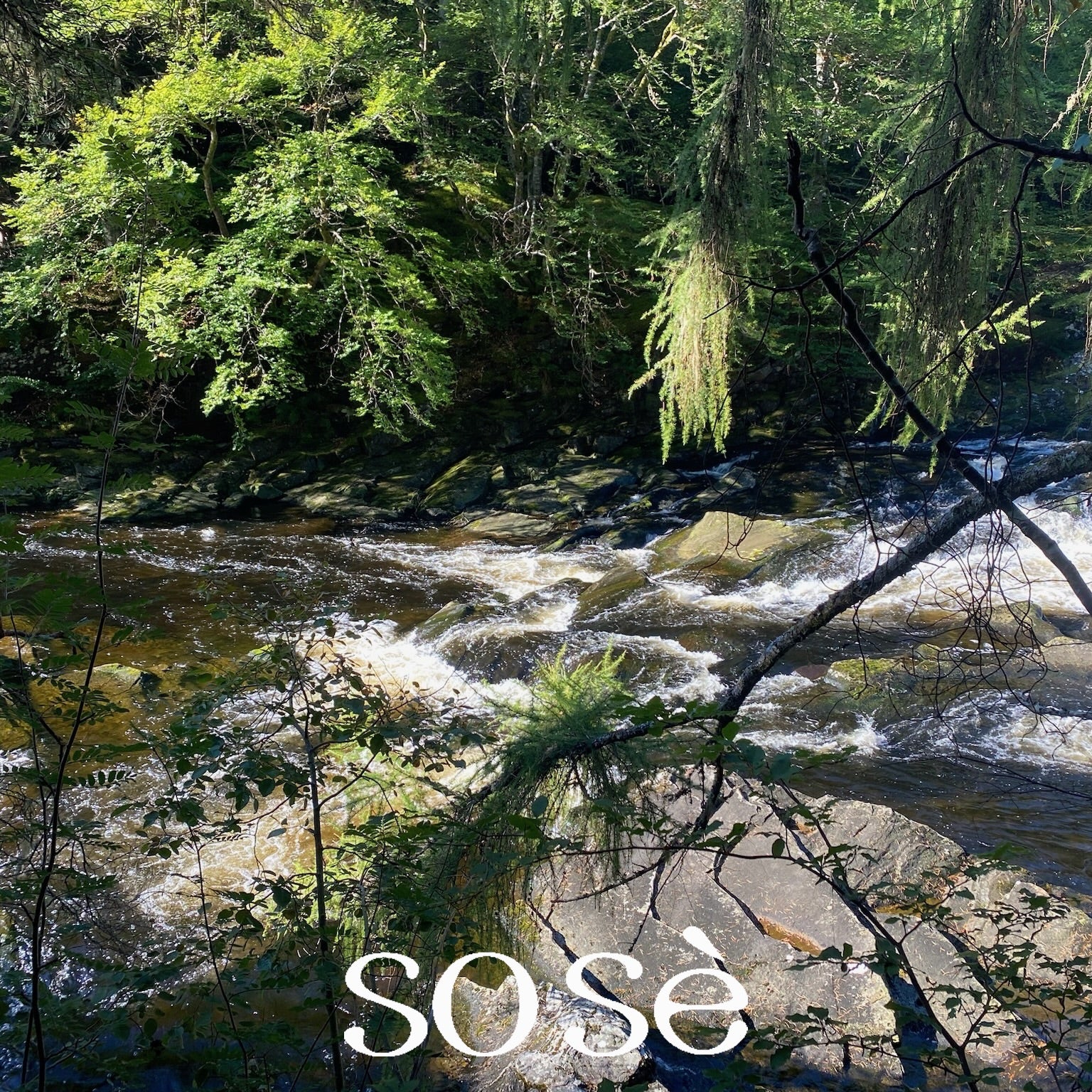 A First-Timer’s Guide to Intimacy Enhancers – SOSE